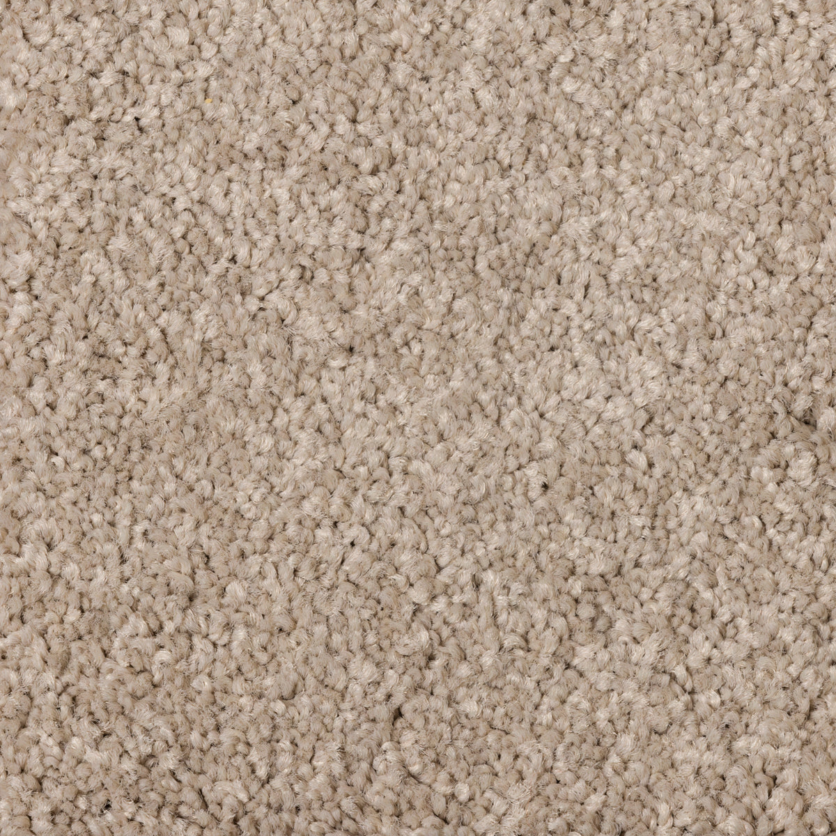 Starlight | Premium Solution Dyed Nylon Carpet